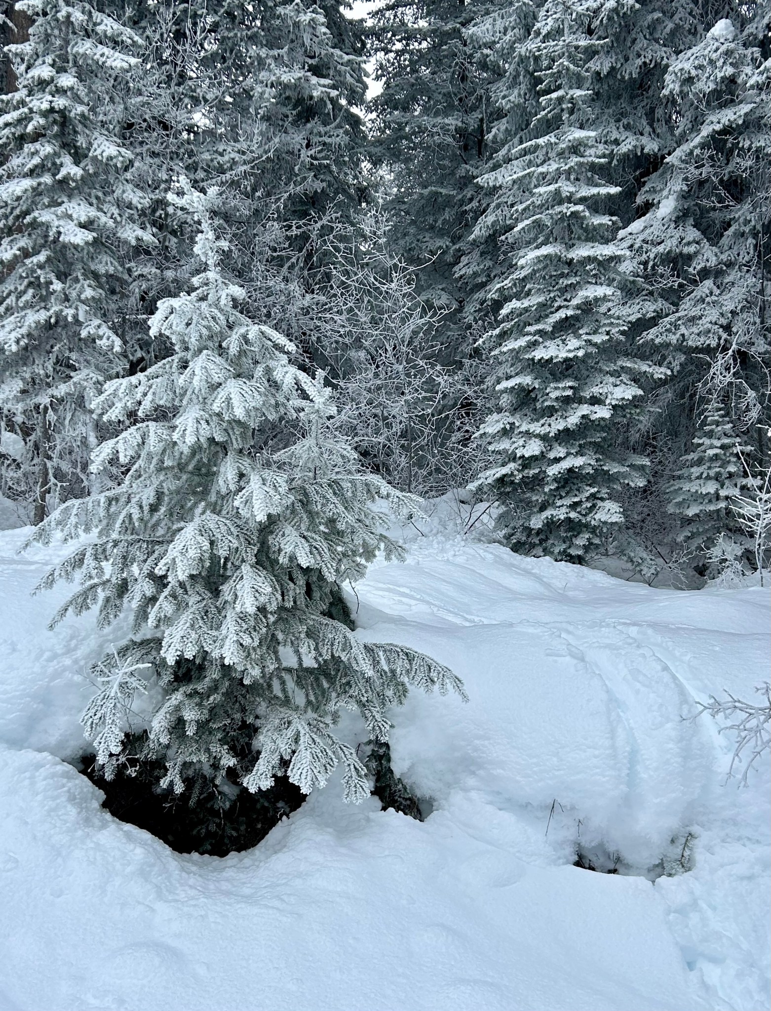 Snowy office on a Thursday … – A blog on Peace after violence